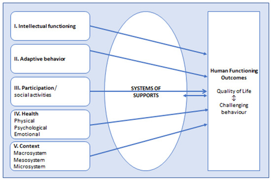 Difficulties in Addressing Diagnostic, Treatment and Support Needs in ...