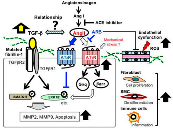 Genetic Basis, New Diagnostic Approaches, and Updated Therapeutic ...