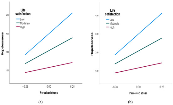 Satisfied with Life? The Protective Function of Life Satisfaction in ...