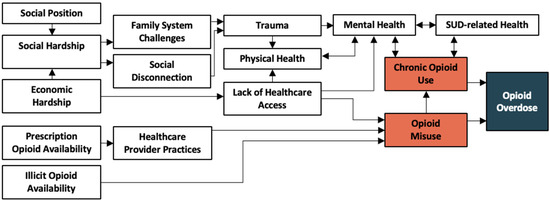 A Diagram of the Social-Ecological Conditions of Opioid Misuse and Overdose