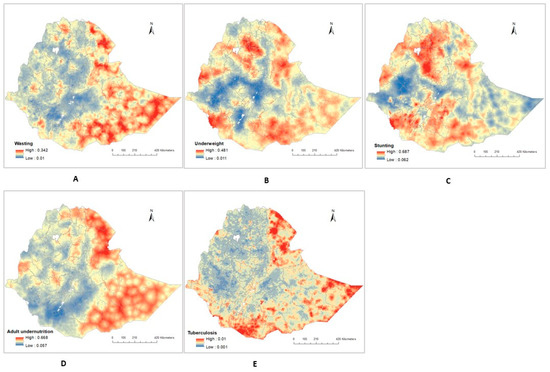 Geospatial Overlap of Undernutrition and Tuberculosis in Ethiopia