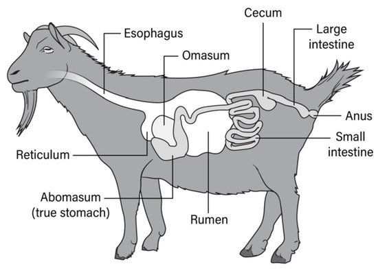 Improving Guideline-Recommended Colorectal Cancer Screening in a ...