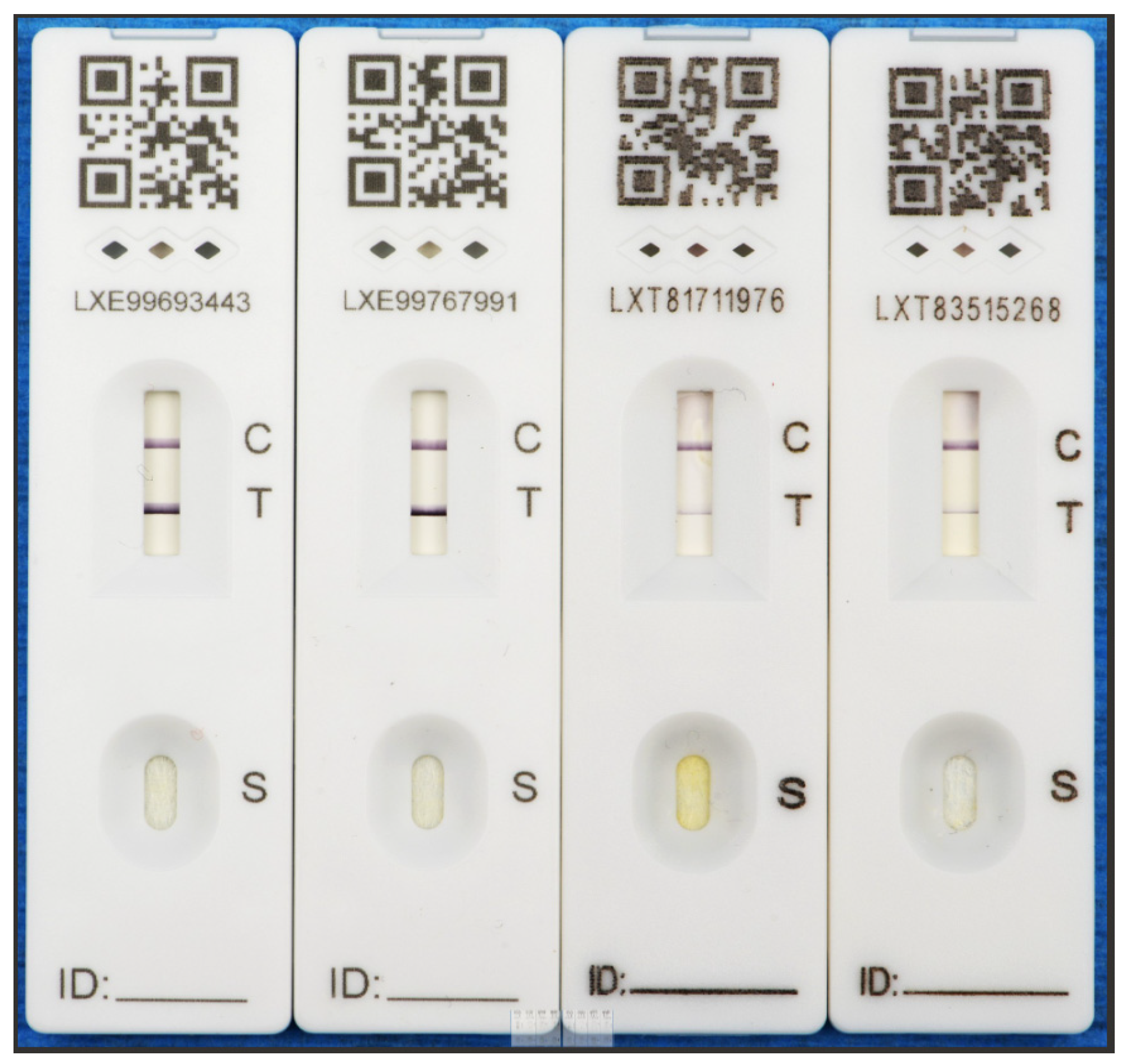 The Impact of COVID-19 on People with a Visual Impairment in Northern ...