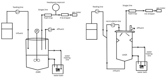 Biodigesters for Sustainable Food Waste Management