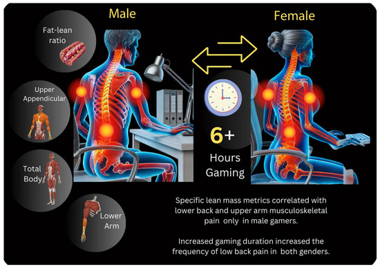 Where Muscle Matters: How Regional Differences, Pain, and Gender Define ...