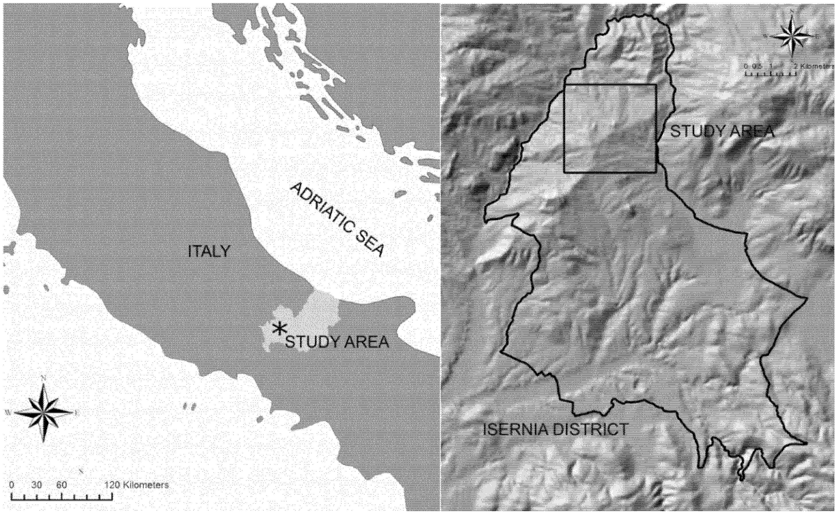 Quantifying Landscape-Scale Patterns of Temperate Forests over Time by ...