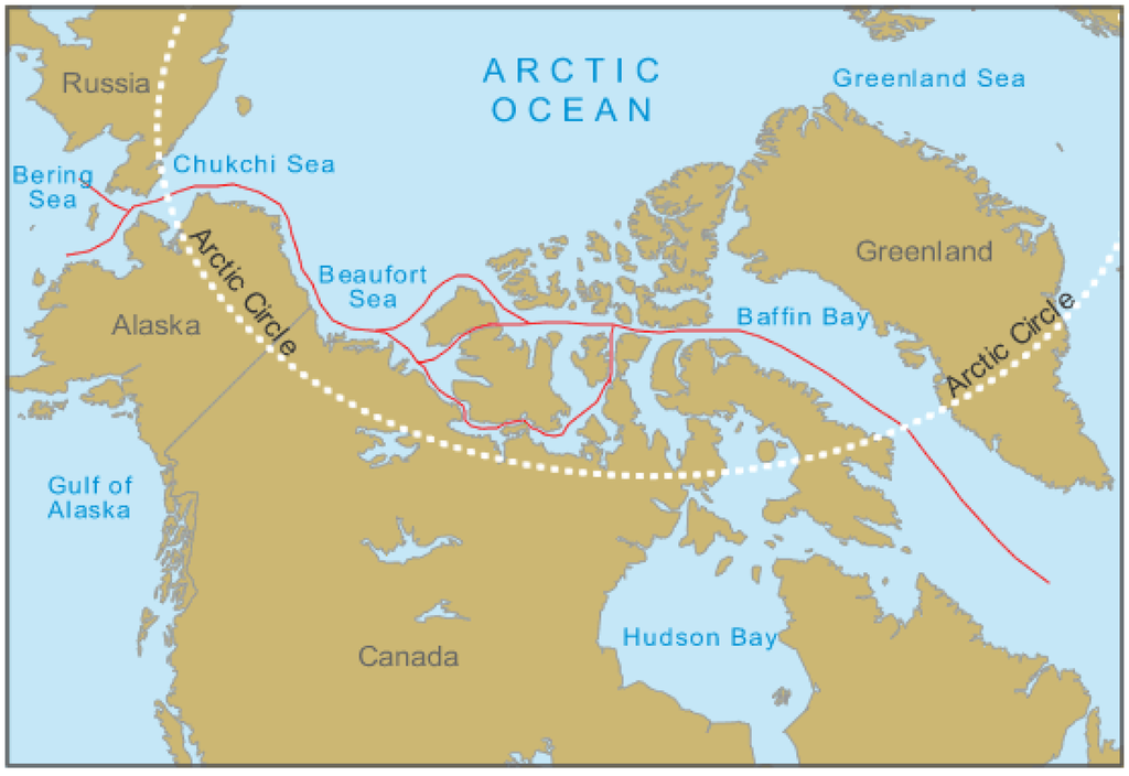 Towards an Automatic Ice Navigation Support System in the Arctic Sea