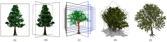 3D Visualization of Trees Based on a Sphere-Board Model
