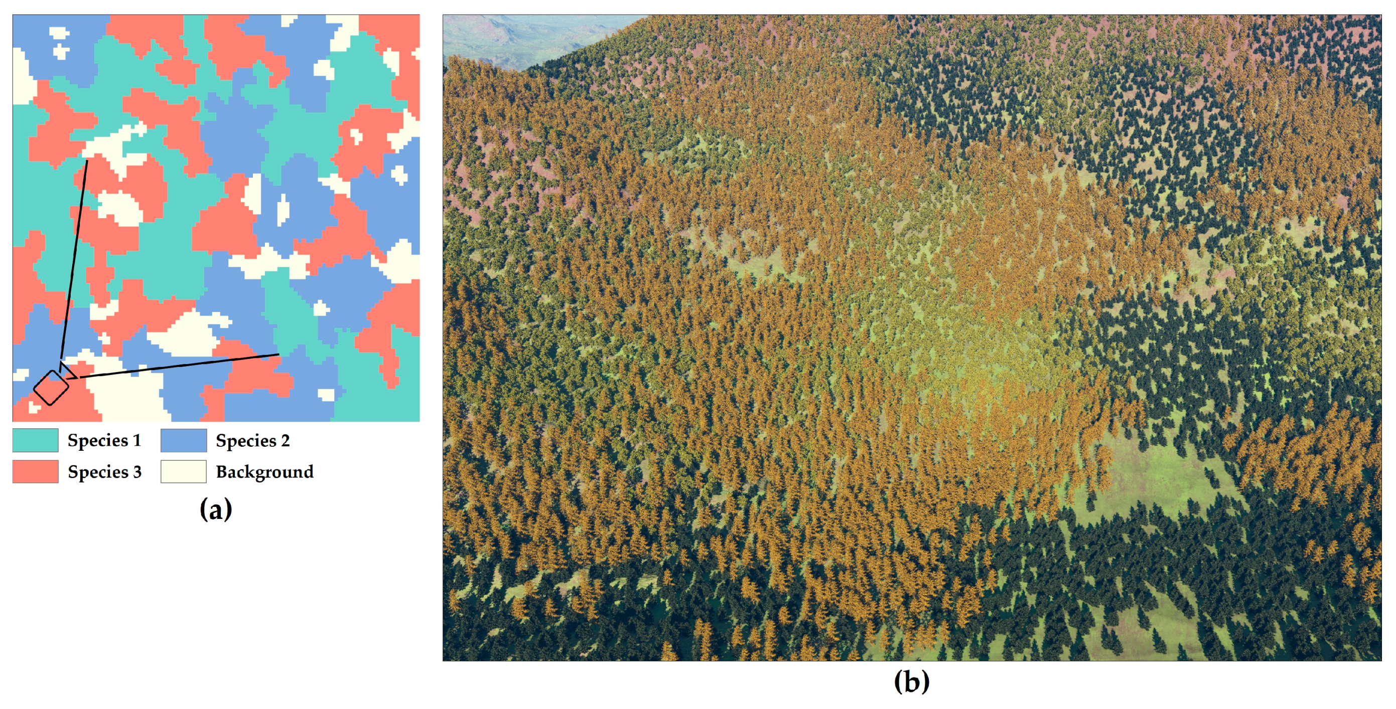 Procedural Generation of Large-Scale Forests Using a Graph-Based ...