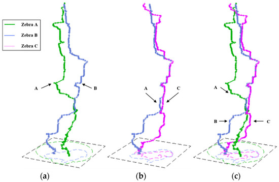 Distance-Decay Effect in Probabilistic Time Geography for Random Encounter