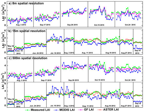 Multi-Scale Validation of MODIS LAI Products Based on Crop Growth Period