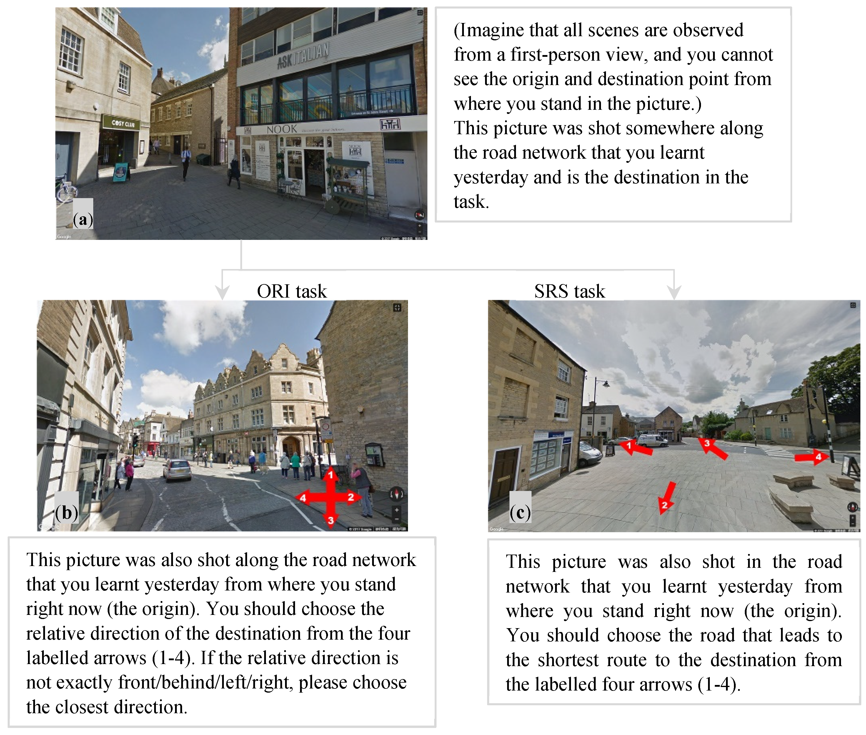 Differences in the Gaze Behaviours of Pedestrians Navigating between ...