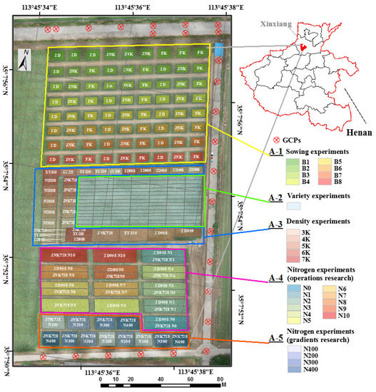 Detection and Analysis of Degree of Maize Lodging Using UAV-RGB Image Multi-Feature Factors and ...