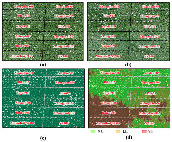 Detection and Analysis of Degree of Maize Lodging Using UAV-RGB Image Multi-Feature Factors and ...