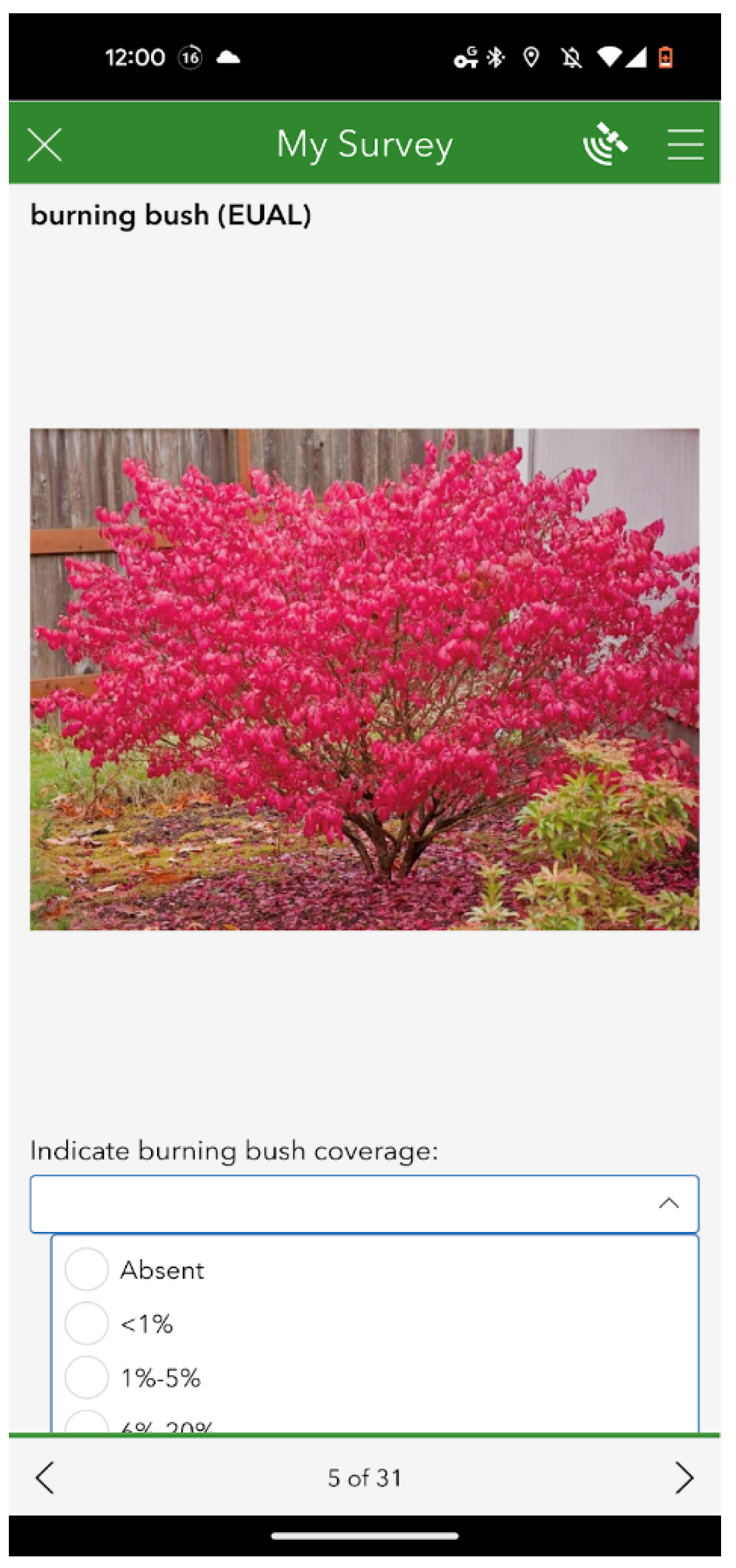 From Meadow to Map: Integrating Field Surveys and Interactive ...