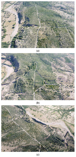 IJGI | Free Full-Text | Billion Tree Tsunami Forests Classification Using Image Fusion Technique ...