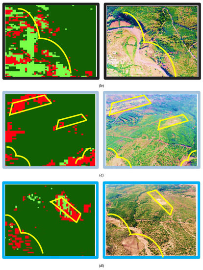 IJGI | Free Full-Text | Billion Tree Tsunami Forests Classification Using Image Fusion Technique ...