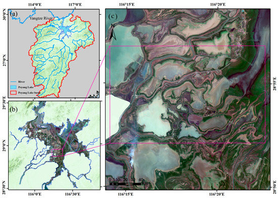Virtual Scene Construction of Wetlands: A Case Study of Poyang Lake, China
