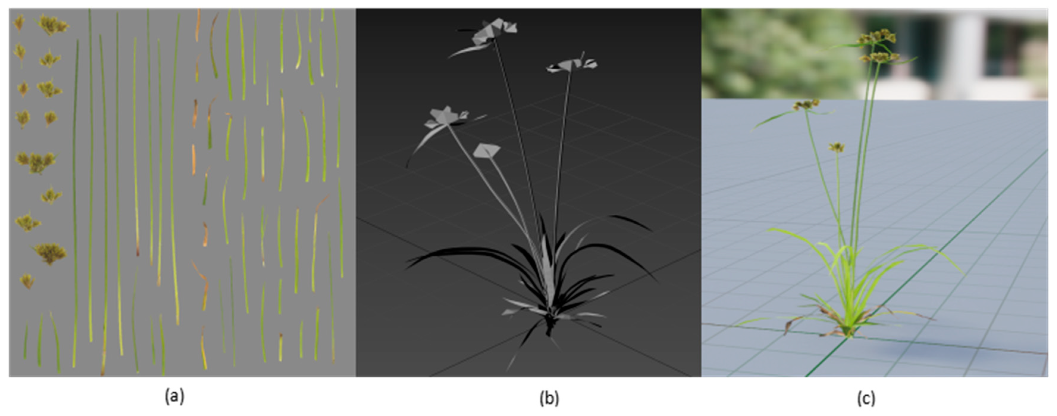 Virtual Scene Construction of Wetlands: A Case Study of Poyang Lake, China