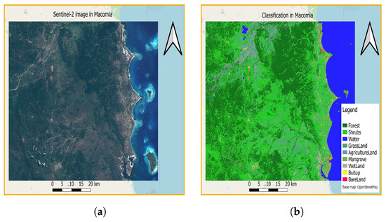 Multi-Temporal Sentinel-1 SAR and Sentinel-2 MSI Data for Flood Mapping and Damage Assessment in ...