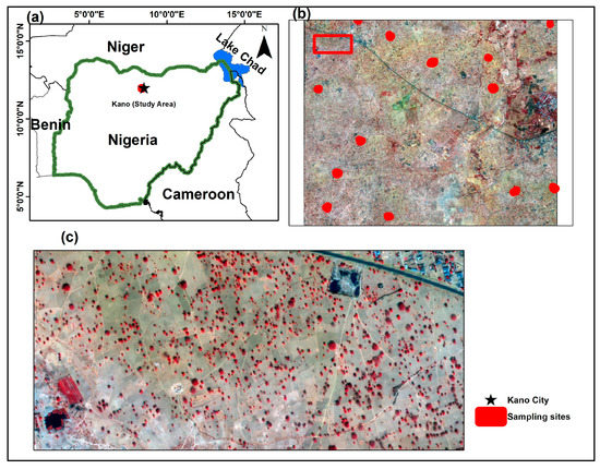 A Comparison of Machine Learning Models for Mapping Tree Species Using ...