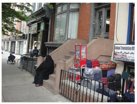 Linguistic Landscape of Arabs in New York City: Application of a ...
