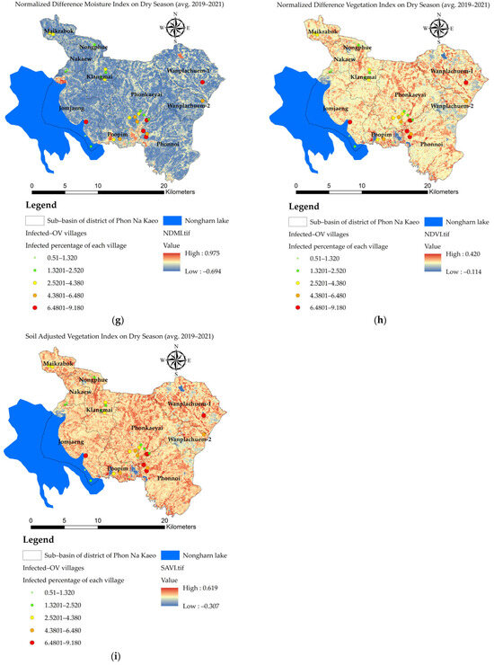 IJGI | Free Full-Text | Machine-Learning-Based Forest Classification and Regression (FCR) for ...