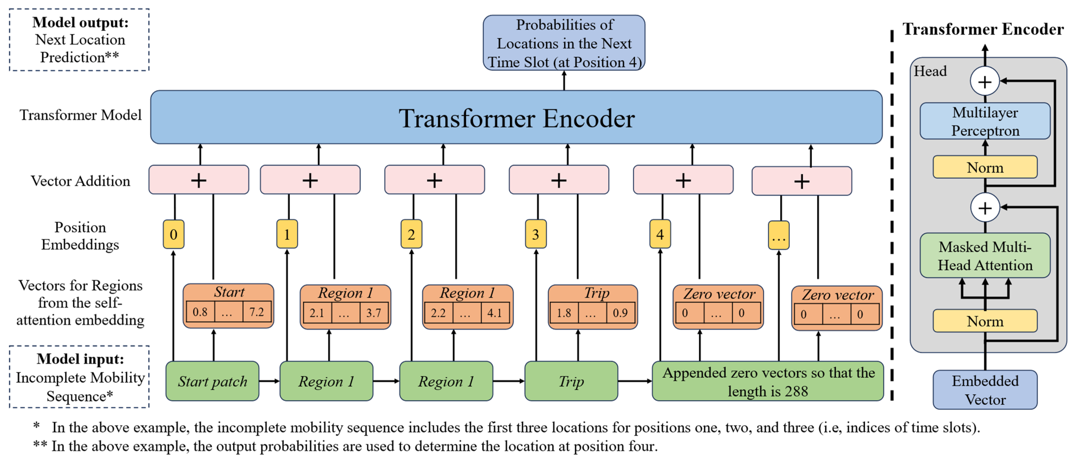 Learning Daily Human Mobility with a Transformer-Based Model