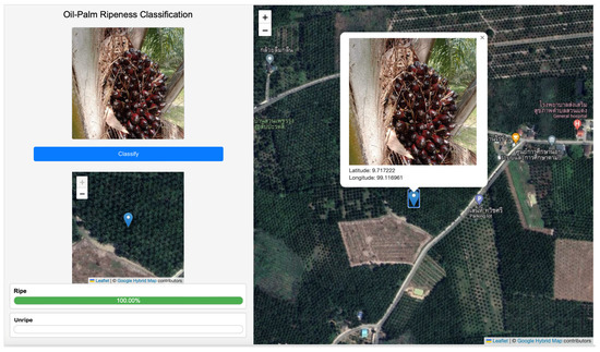 Oil Palm Bunch Ripeness Classification and Plantation Verification ...