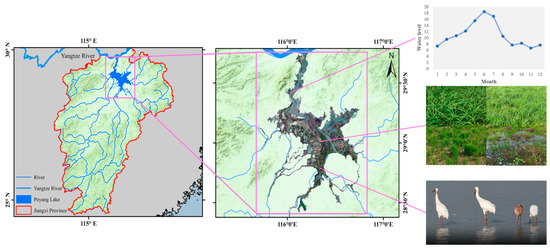 Study on Multiscale Virtual Environment Construction and Spatial Navigation Based on ...