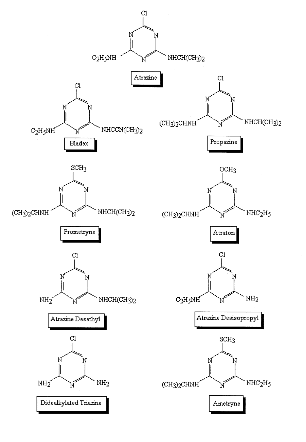 Toxicity Assessment of Atrazine and Related Triazine Compounds in the ...