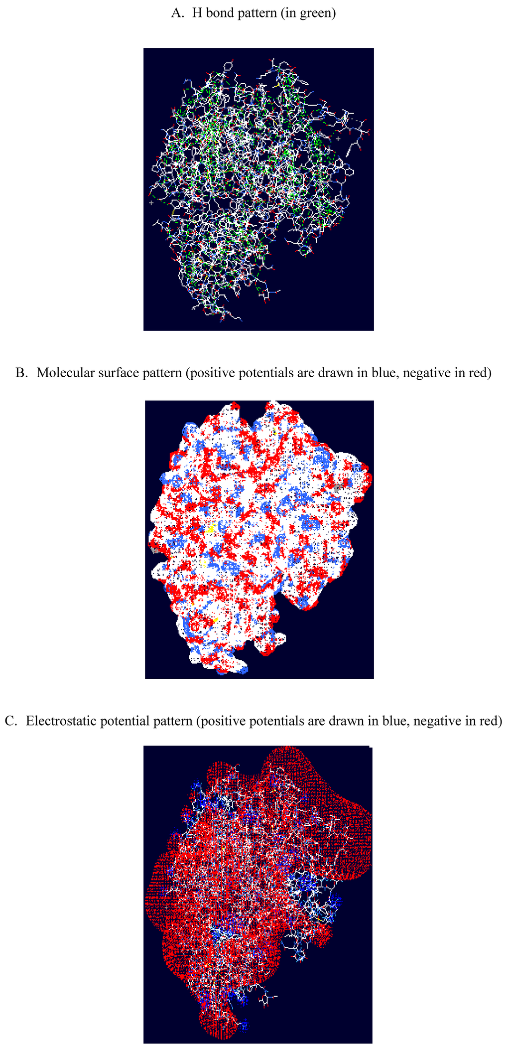 Molecular Structure of Human Transferrin – Transferrin Receptor Complex
