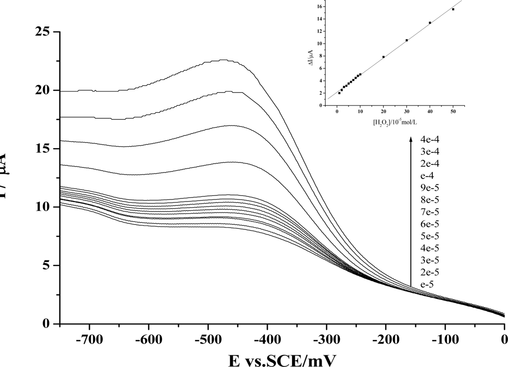 Ijms Free Full Text Photodynamic Effect Of Hypericin On The