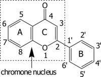IJMS | Free Full-Text | 3D-QSAR Investigation of Synthetic Antioxidant ...