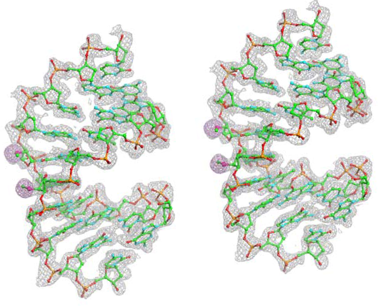 IJMS | Free Full-Text | Selenium Derivatization of Nucleic Acids for ...