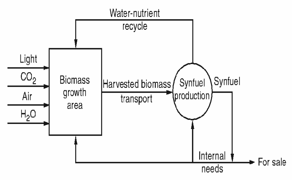 Towards Sustainable Production of Biofuels from Microalgae
