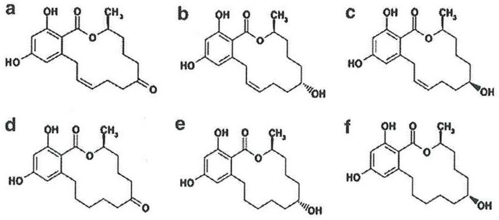 Zearalenone and Reproductive Function in Farm Animals