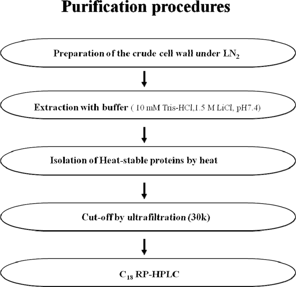 Protease Inhibitors from Plants with Antimicrobial Activity