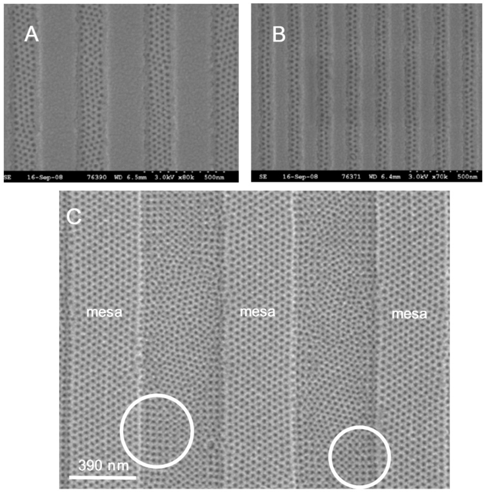 IJMS | Free Full-Text | Chemical Interactions and Their Role in the ...