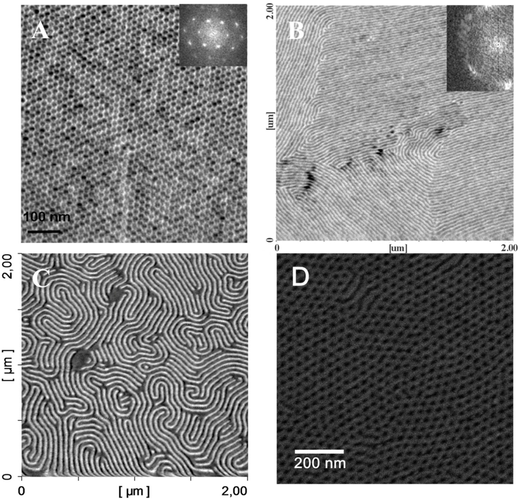 IJMS | Free Full-Text | Chemical Interactions and Their Role in the ...