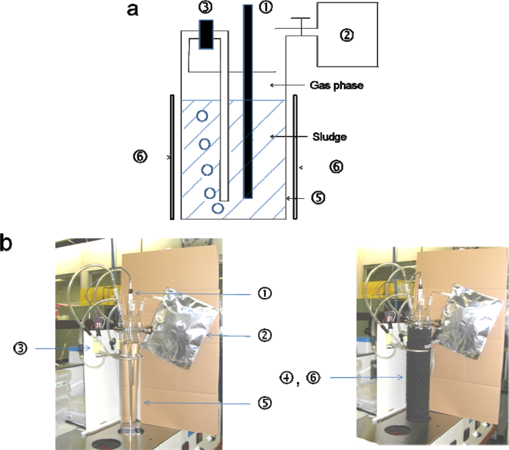 Anaerobic Biodegradation Tests of Poly(lactic acid) under Mesophilic ...