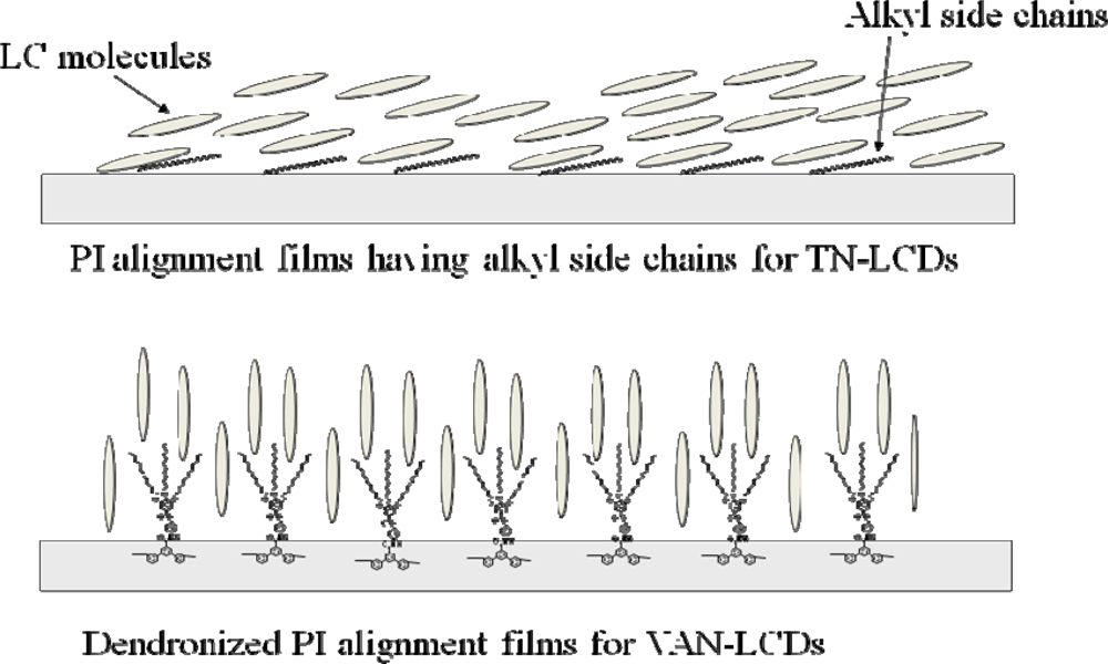 Dendronized Polyimides Bearing Long-Chain Alkyl Groups and Their ...