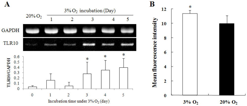 Reactive Oxygen Species Enhance TLR10 Expression in the Human Monocytic ...