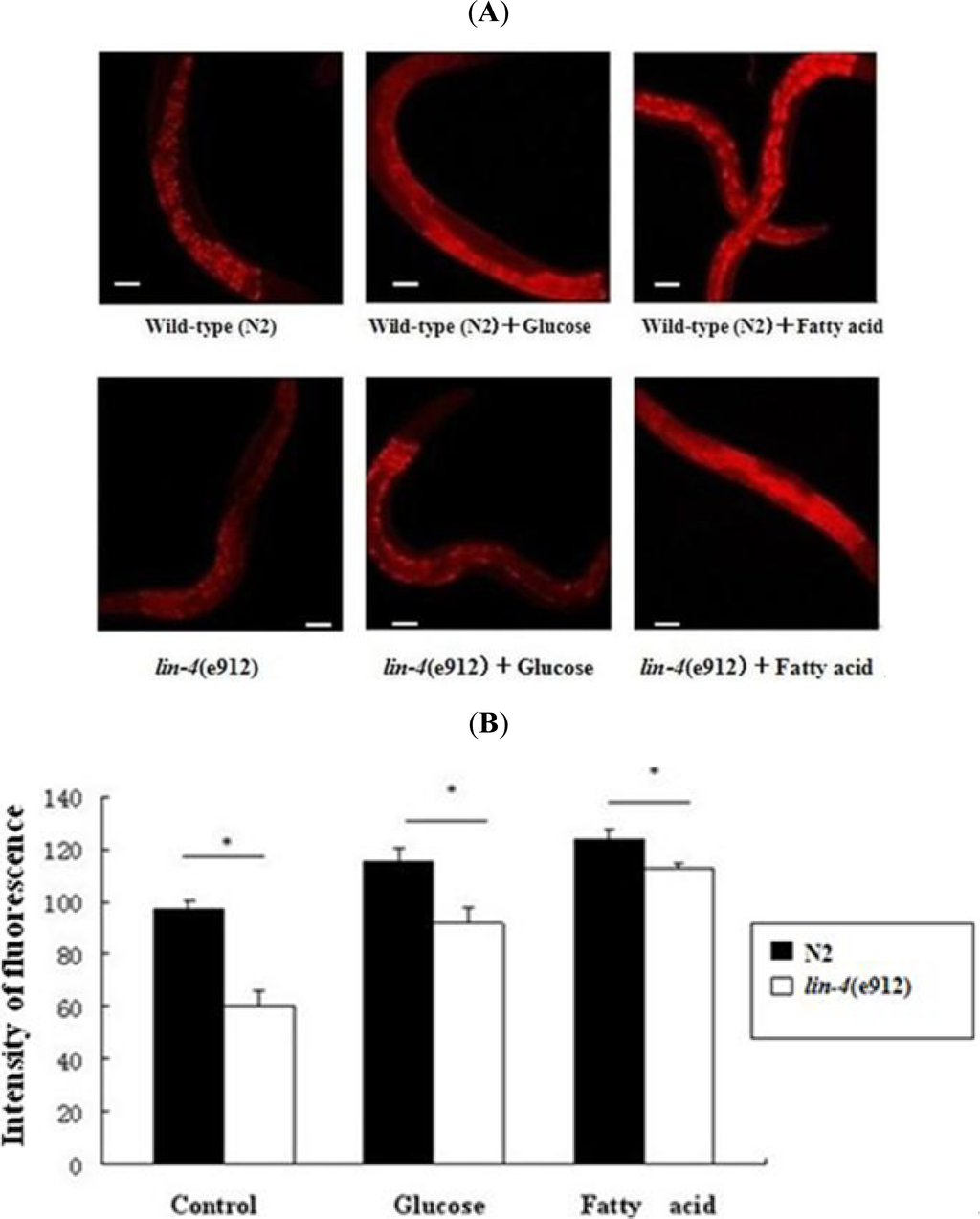 The lin-4 Gene Controls Fat Accumulation and Longevity in ...