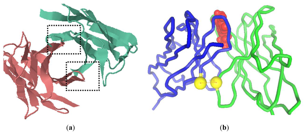 IJMS | Free Full-Text | Stabilization of the Single-Chain Fragment ...