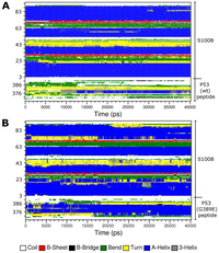 IJMS | Free Full-Text | Insight into a Novel p53 Single Point Mutation ...