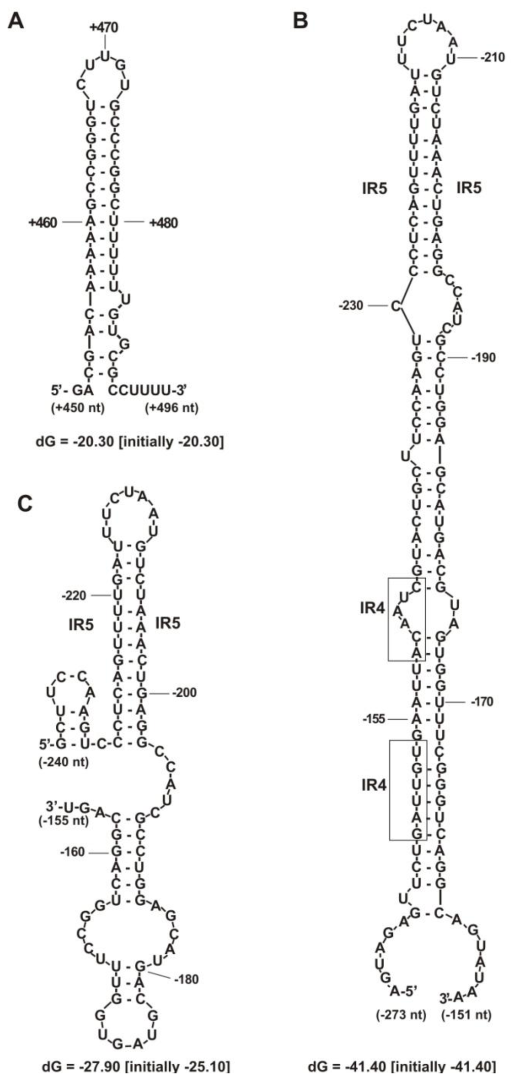 Modulation of rosR Expression and Exopolysaccharide Production in ...