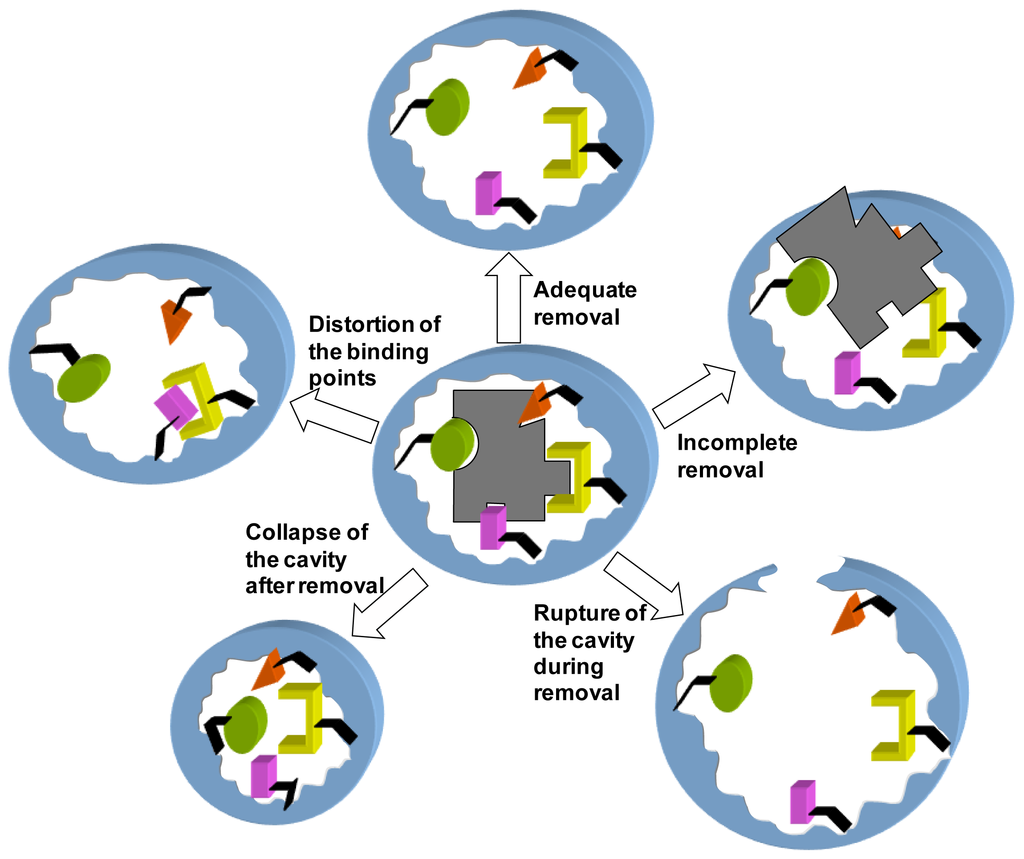 To Remove or Not to Remove? The Challenge of Extracting the Template to ...