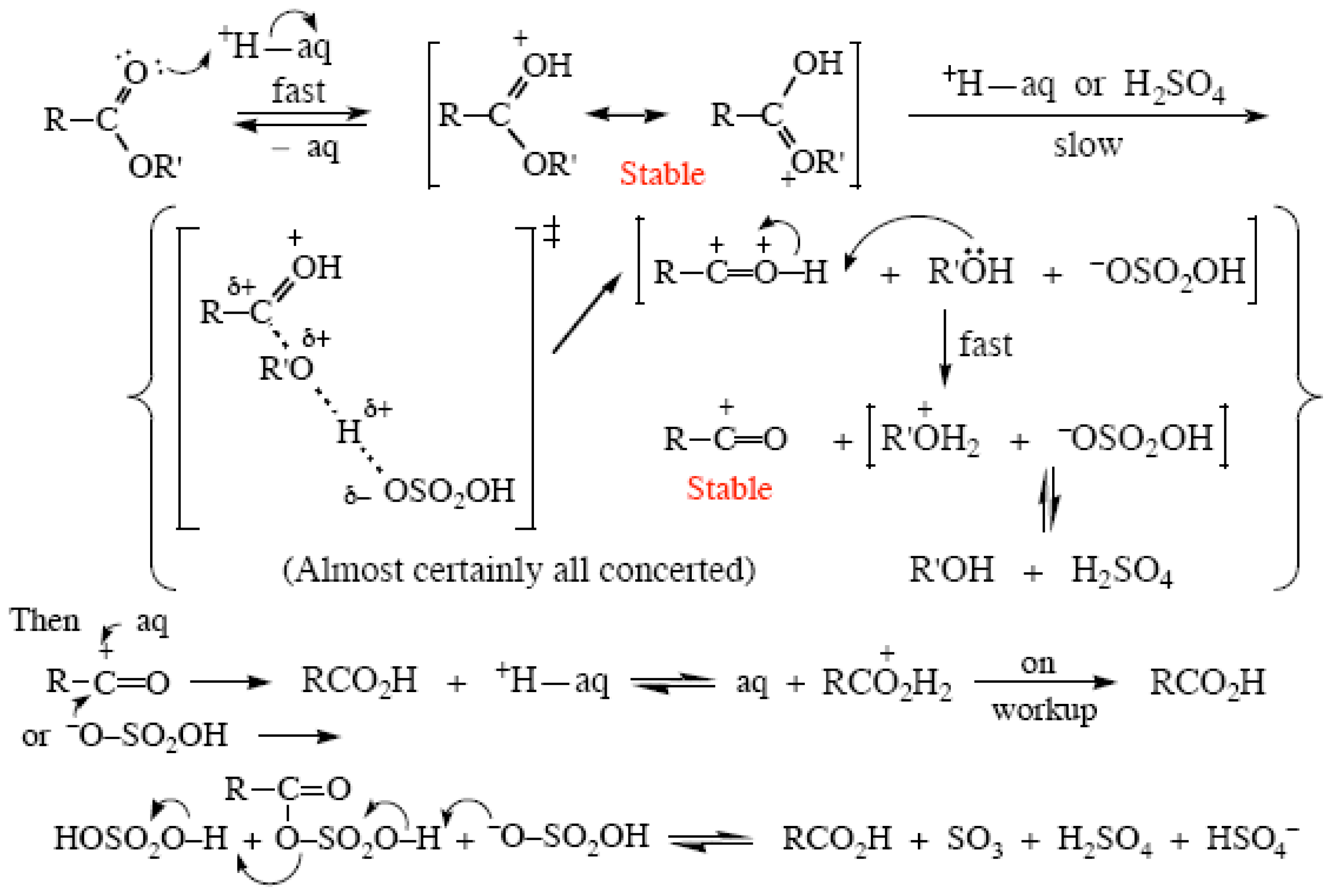 A Greatly Under-Appreciated Fundamental Principle of Physical Organic ...
