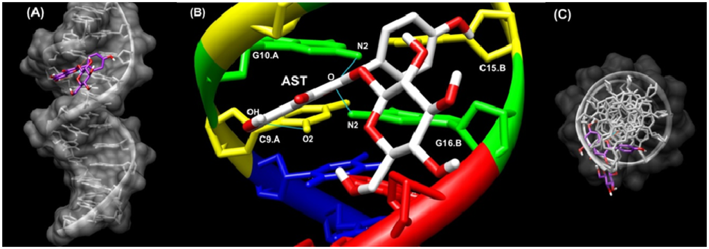 Astragalin from Cassia alata Induces DNA Adducts in Vitro and ...